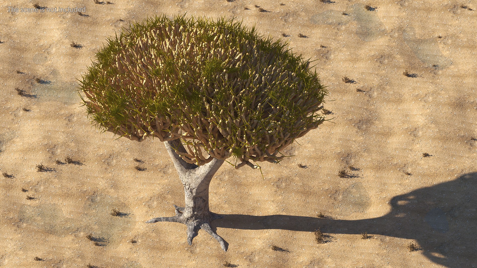 3D Dragon Tree - TurboSquid 1740585