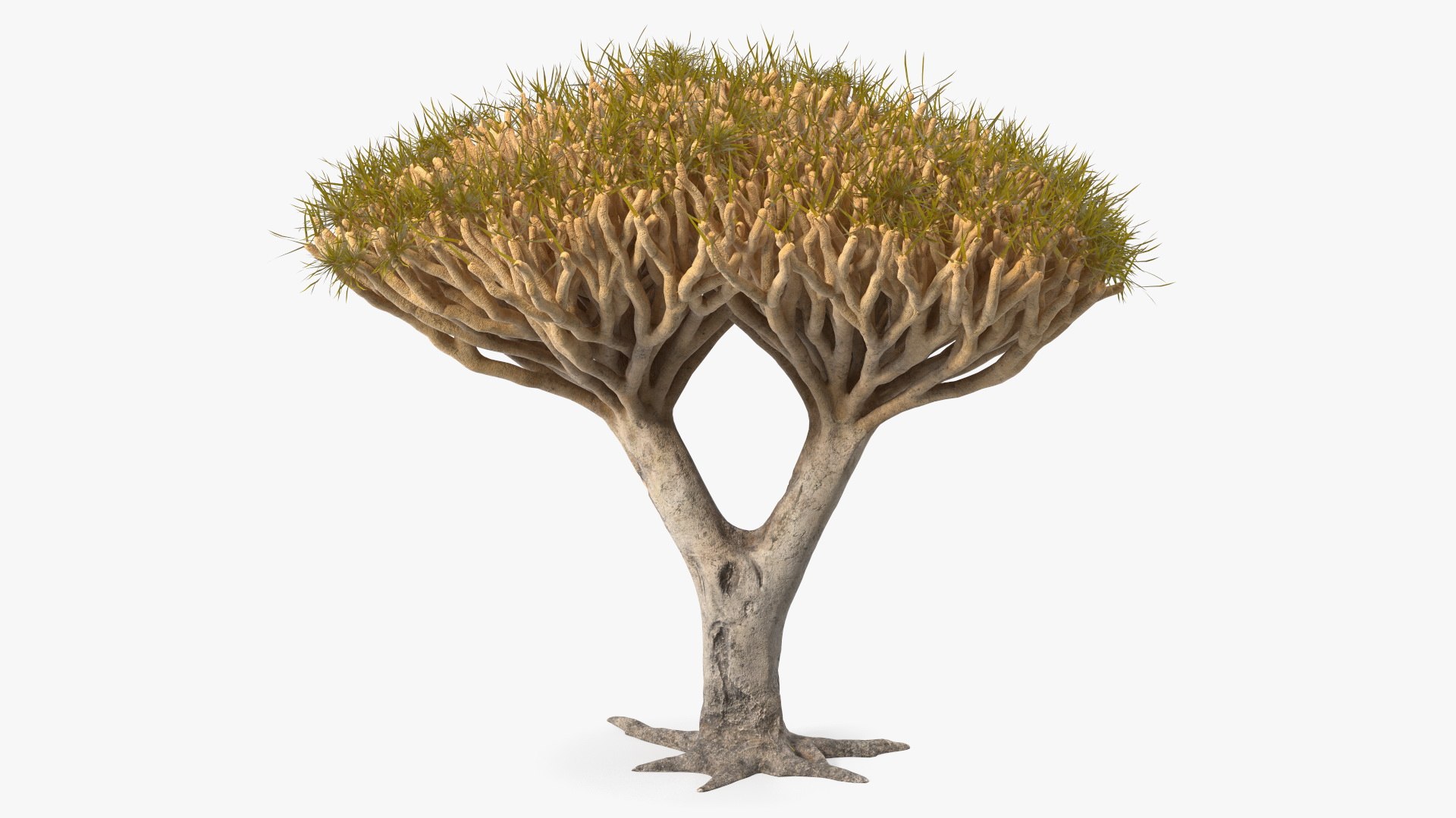 3D Dragon Tree - TurboSquid 1740585