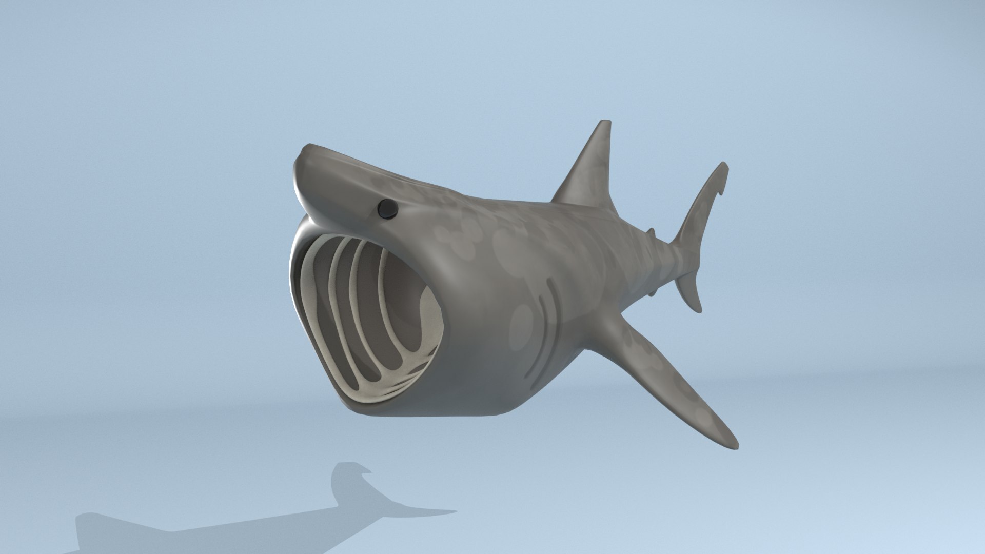 Stylized Basking Shark Model - TurboSquid 1638785