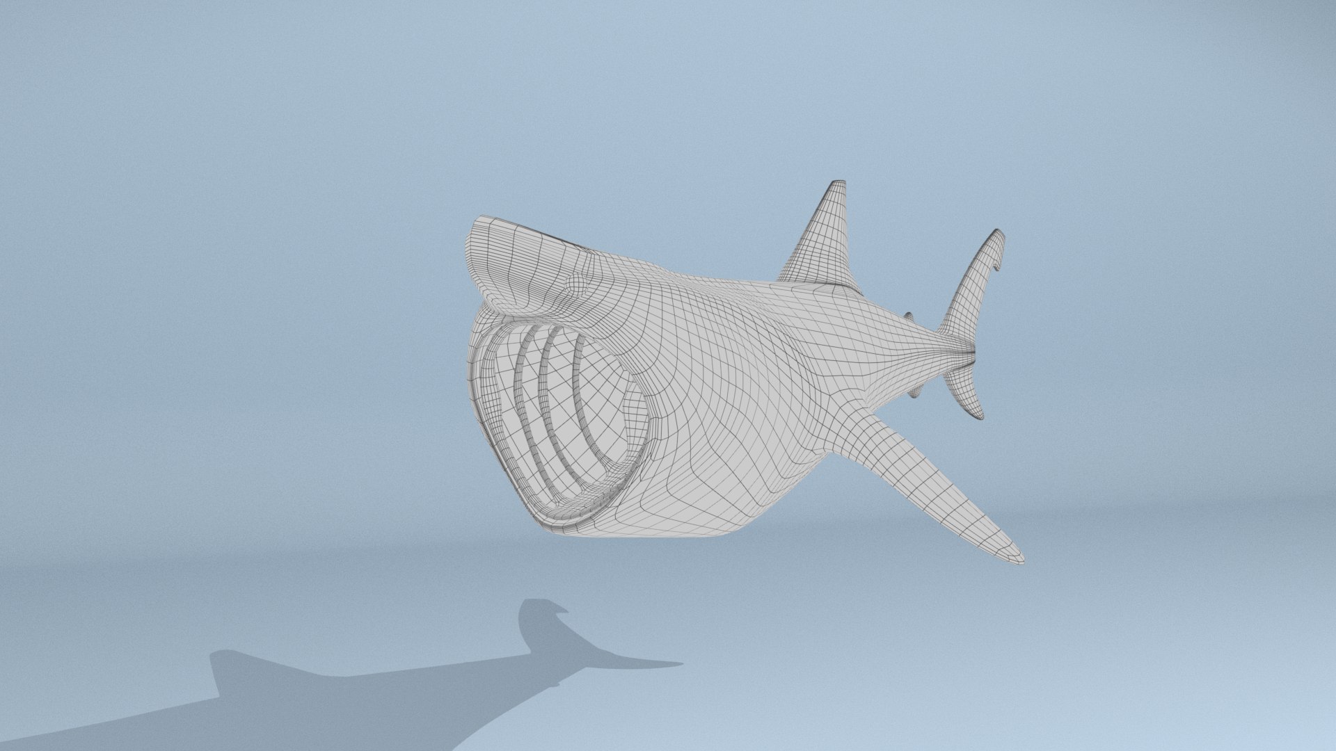 Stylized Basking Shark Model - TurboSquid 1638785