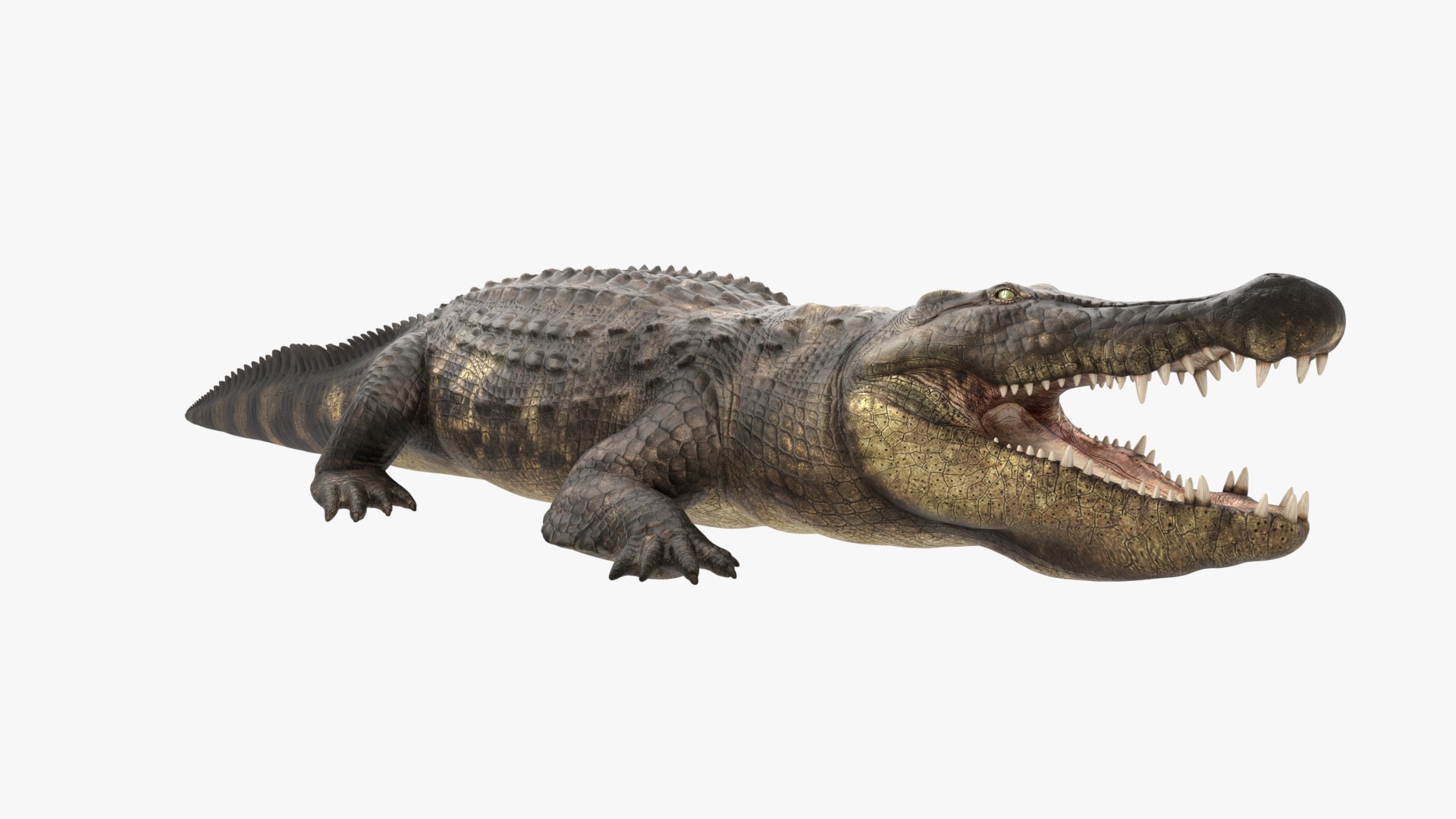 3D Realistic Crocodile Model: Rigged - TurboSquid 1466376