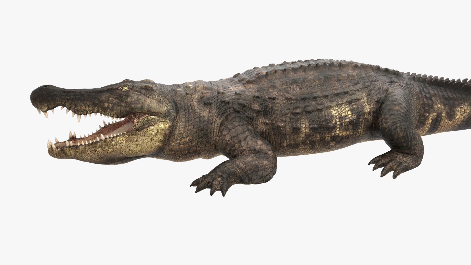 3D Realistic Crocodile Model: Rigged - TurboSquid 1466376