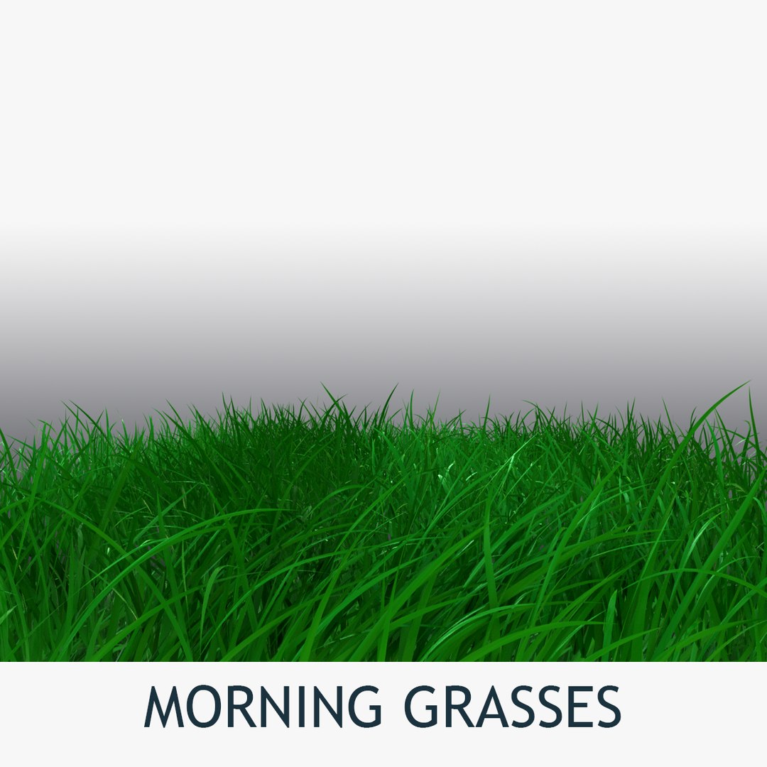 Realistic Morning Grass 3D - TurboSquid 1979347