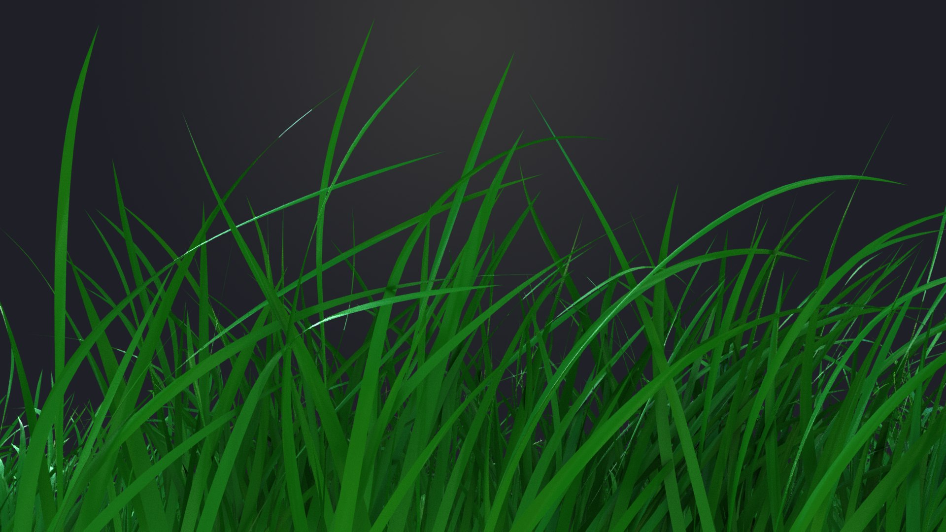 Realistic Morning Grass 3D - TurboSquid 1979347