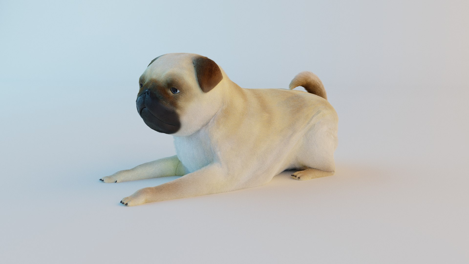 Stylized Fat Pug Dog 3D Model - TurboSquid 1341377