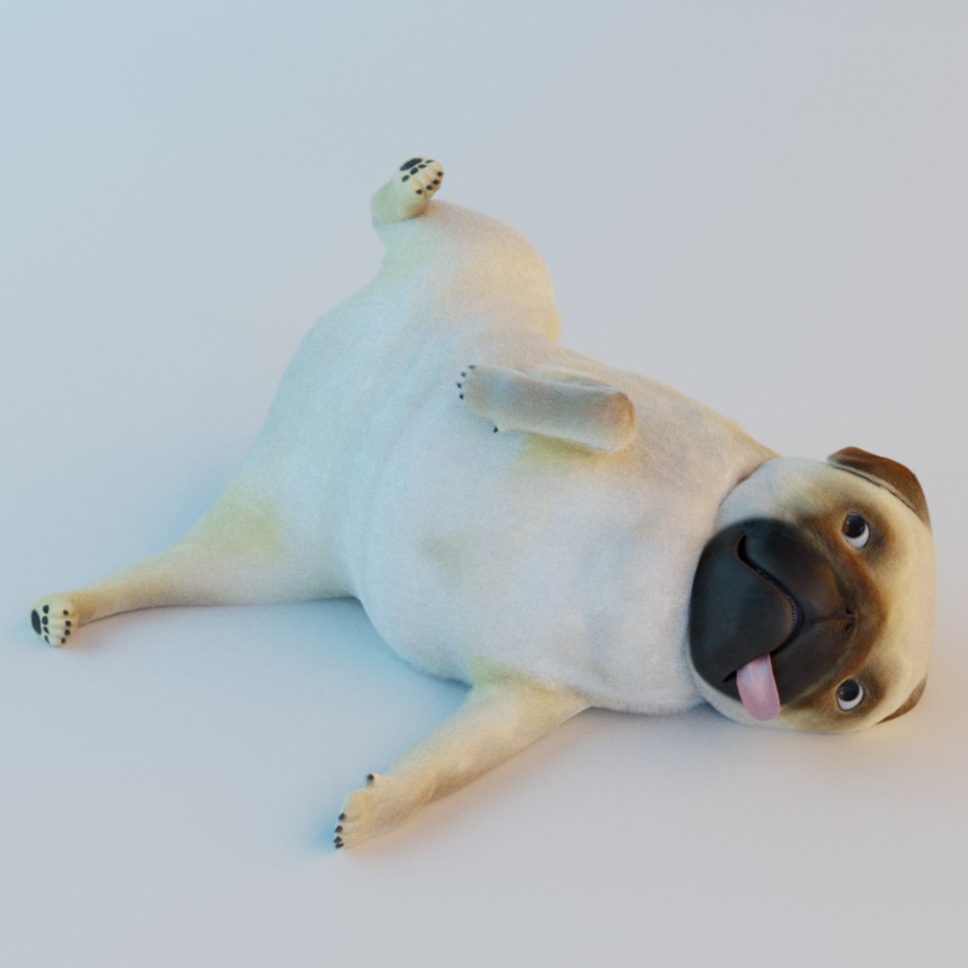 Stylized Fat Pug Dog 3D Model - TurboSquid 1341377