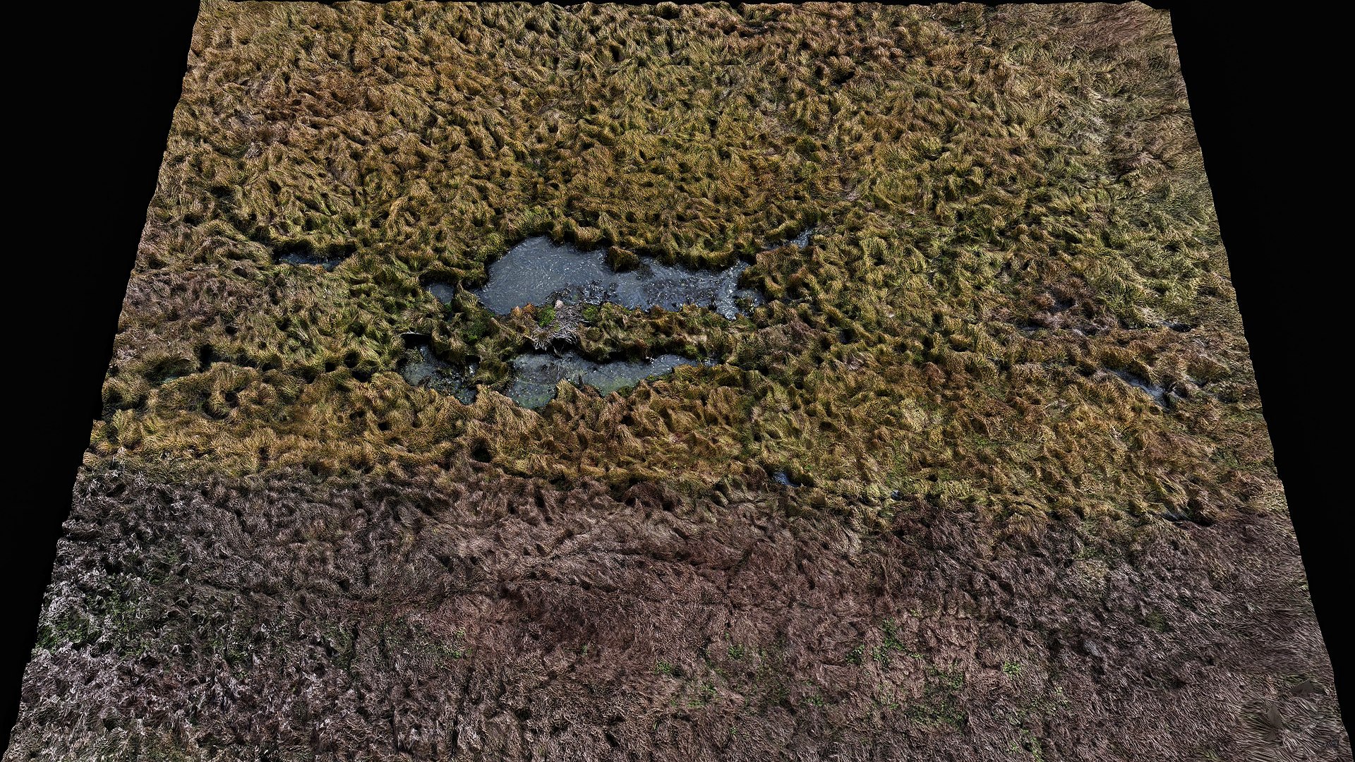 Forest Ground Swamp Grass Fields Area Drone Photogrammetry 3D ...