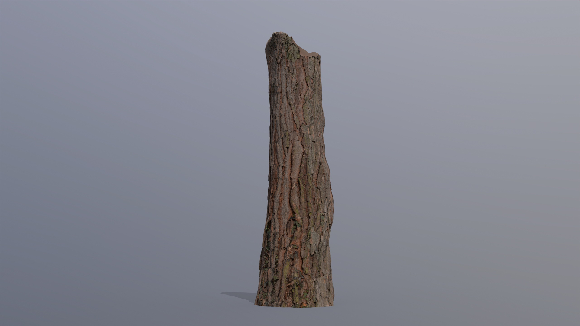 3D Pine Trunk Scan PBR 8K - TurboSquid 2298939