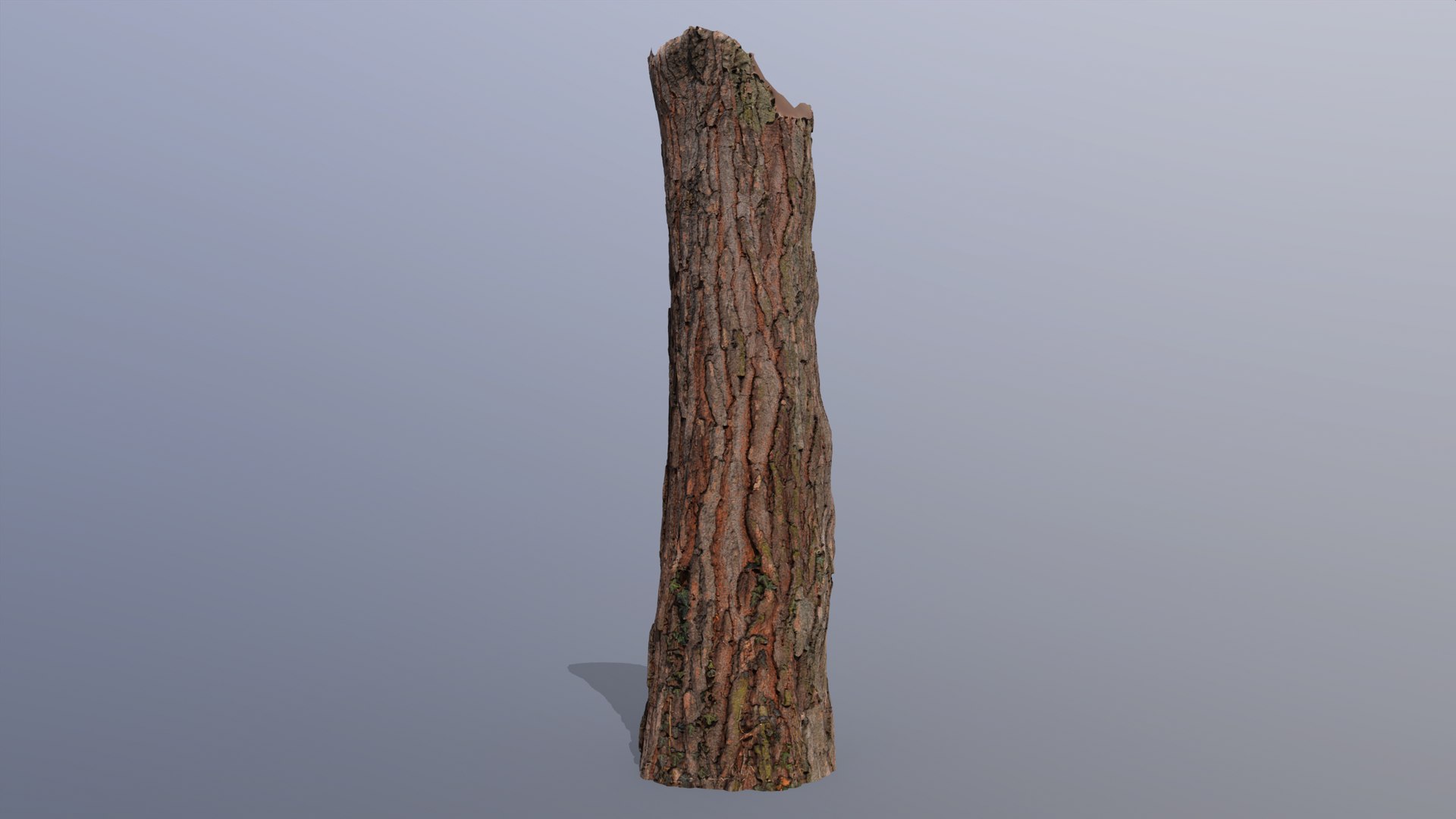 3D Pine Trunk Scan PBR 8K - TurboSquid 2298939