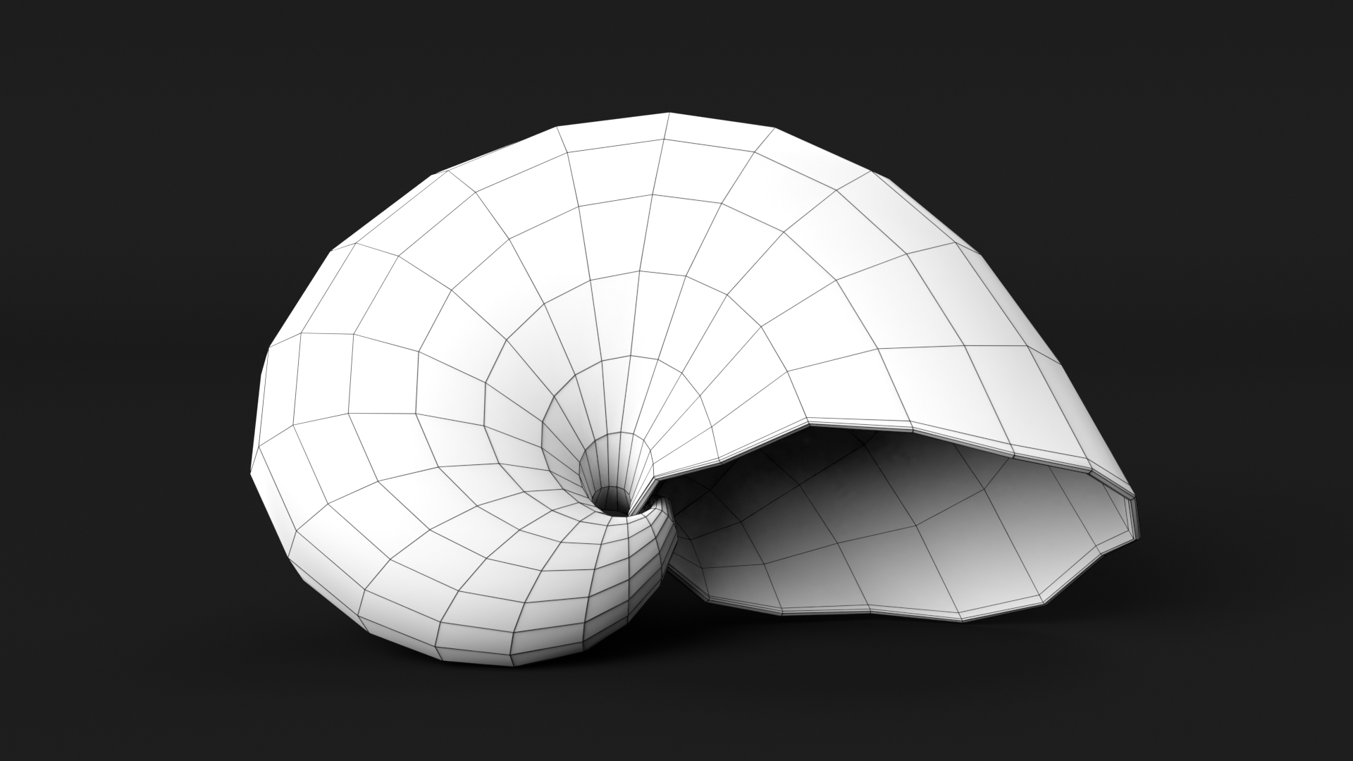 3D seashell shell sea model - TurboSquid 1665744