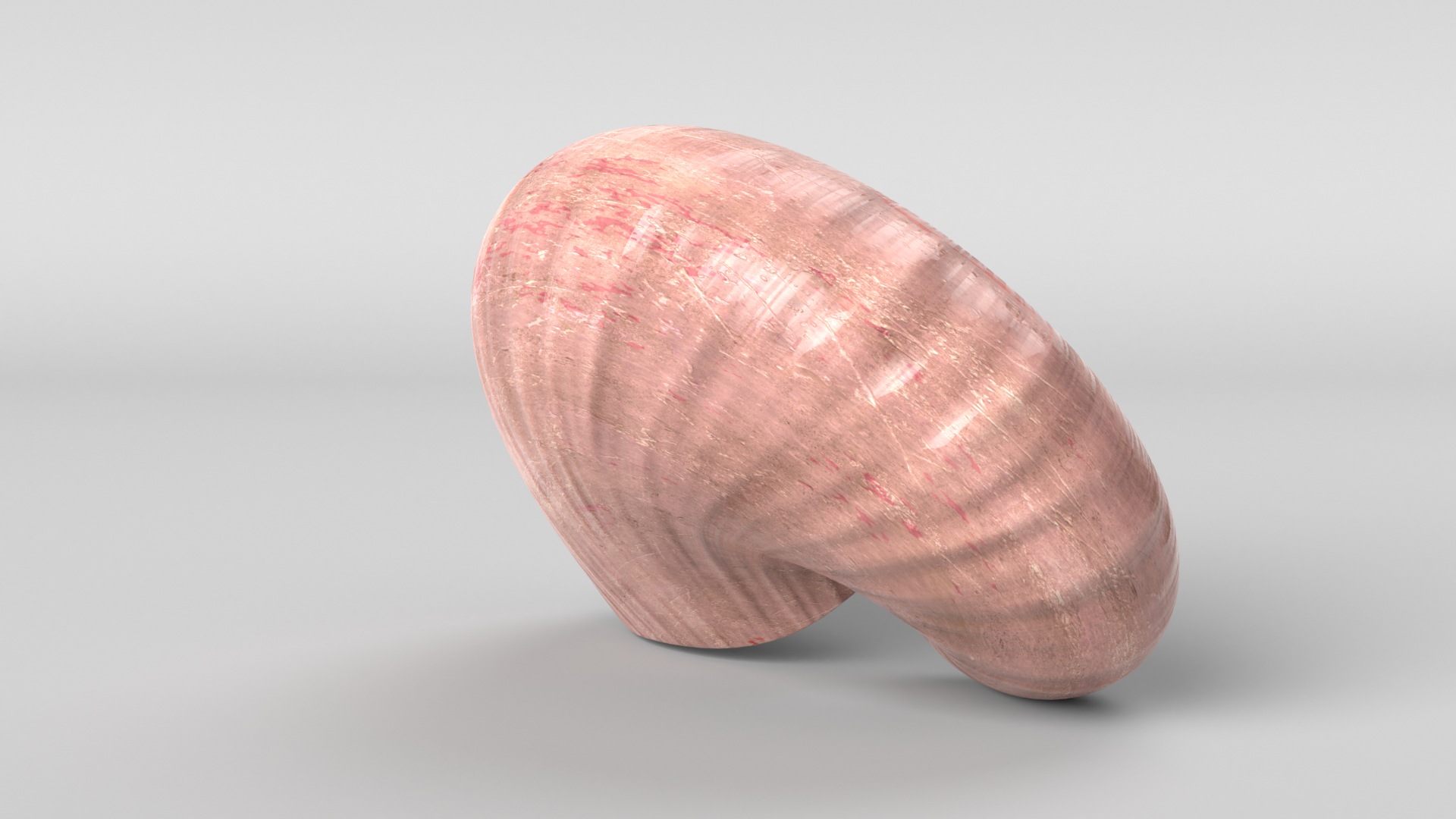 3D seashell shell sea model - TurboSquid 1665744
