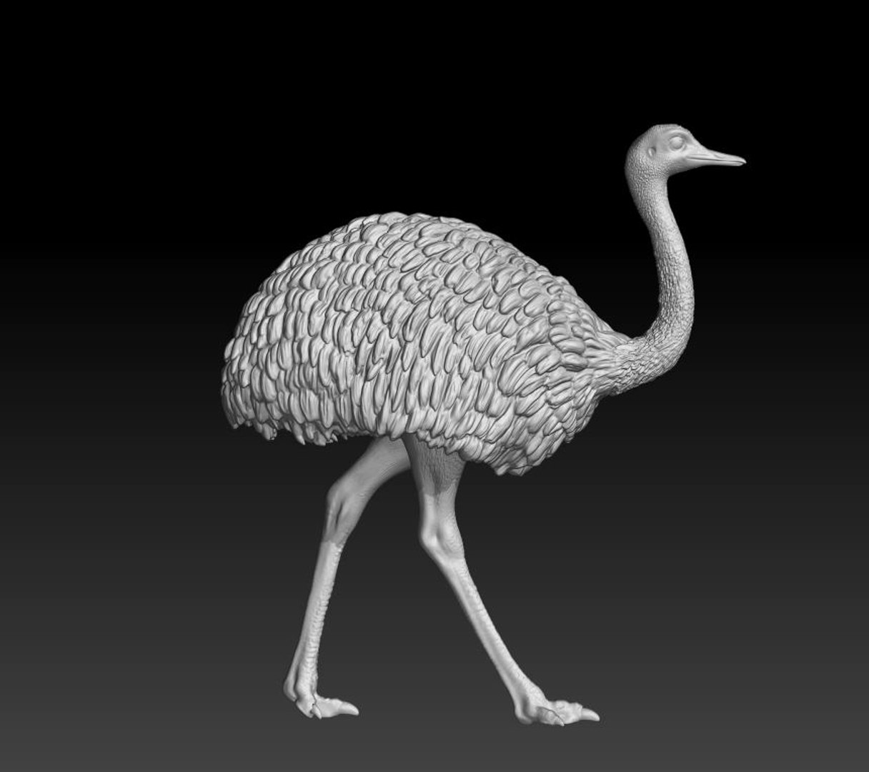 3D Rhea Choique - TurboSquid 1381333