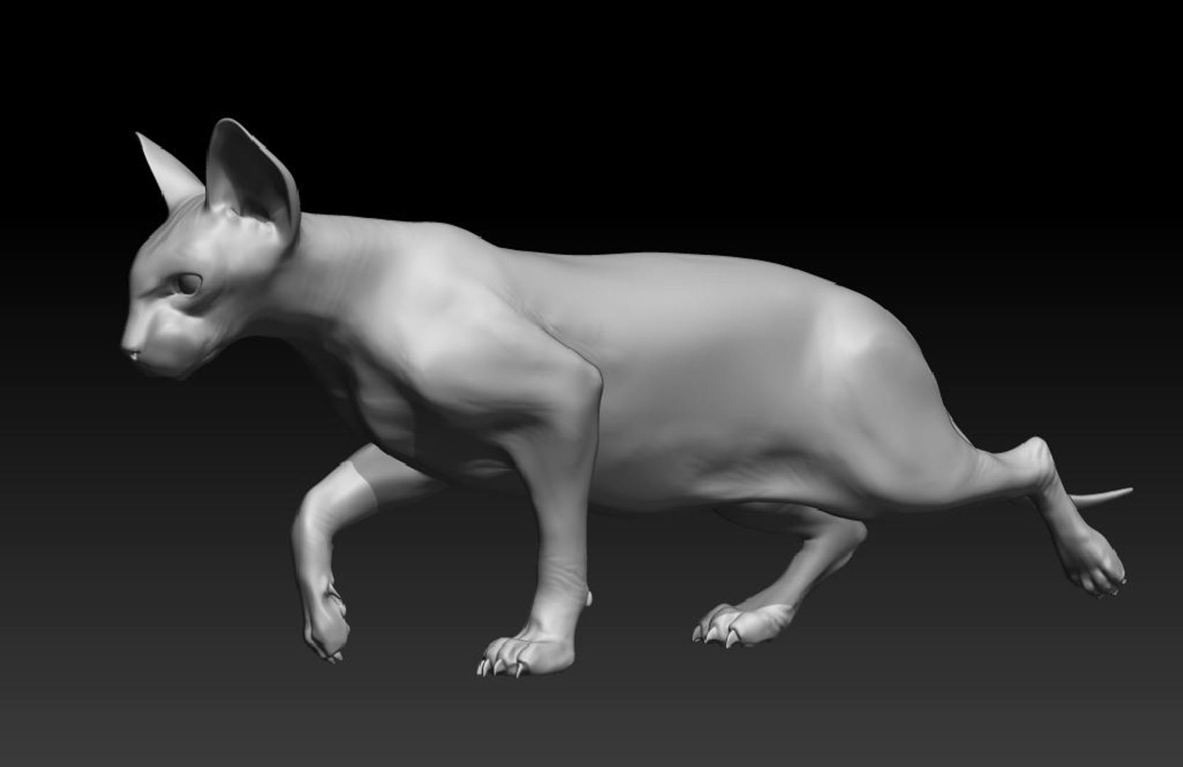3d model sphynx cat