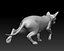 3d Model Sphynx Cat