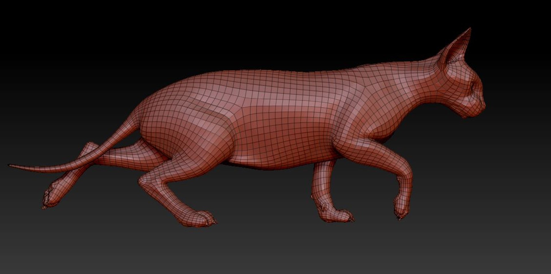 3d Model Sphynx Cat