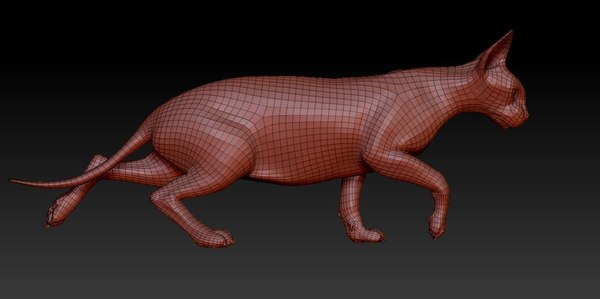 3d model sphynx cat
