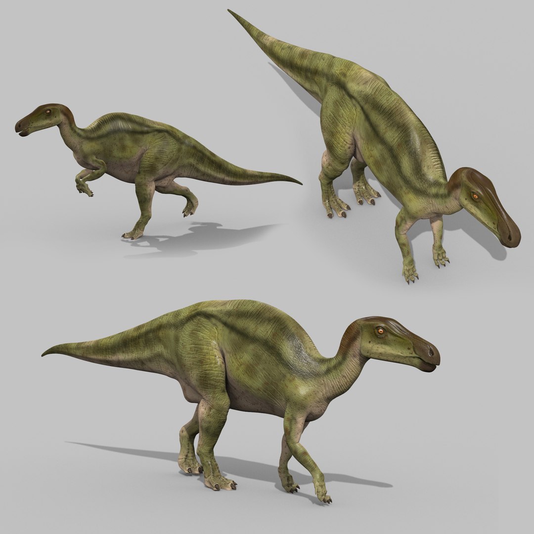 3D Edmontosaur Lives 8K - 3d Animated Model - TurboSquid 2088377