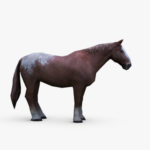 Draft Horse 3D Models for Download | TurboSquid