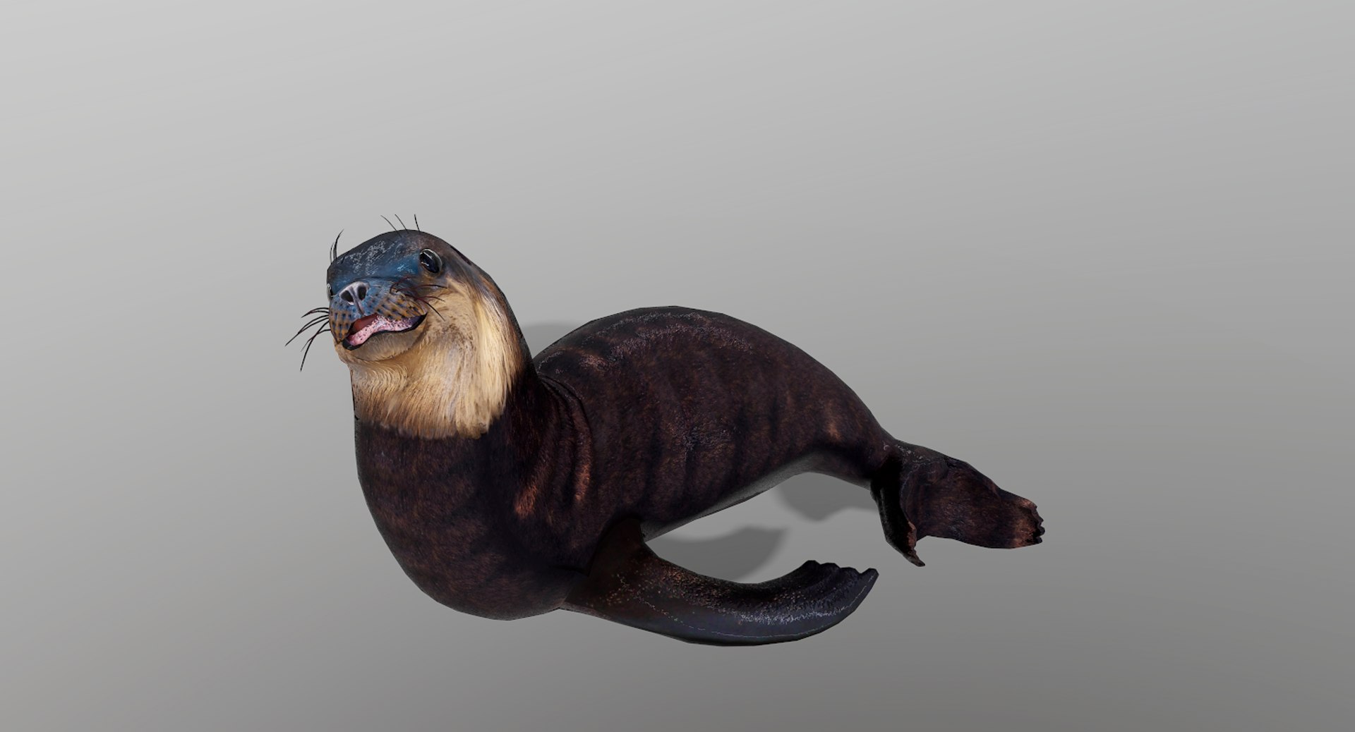 3D Realistic Sea Lion Rigged Model - TurboSquid 1304785