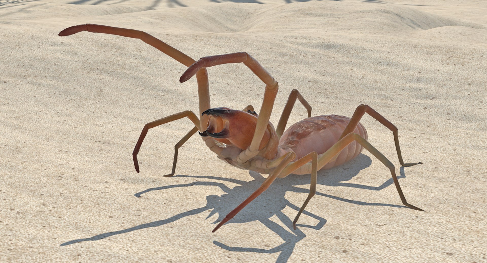 3D Wind Scorpion Spider - TurboSquid 1195514