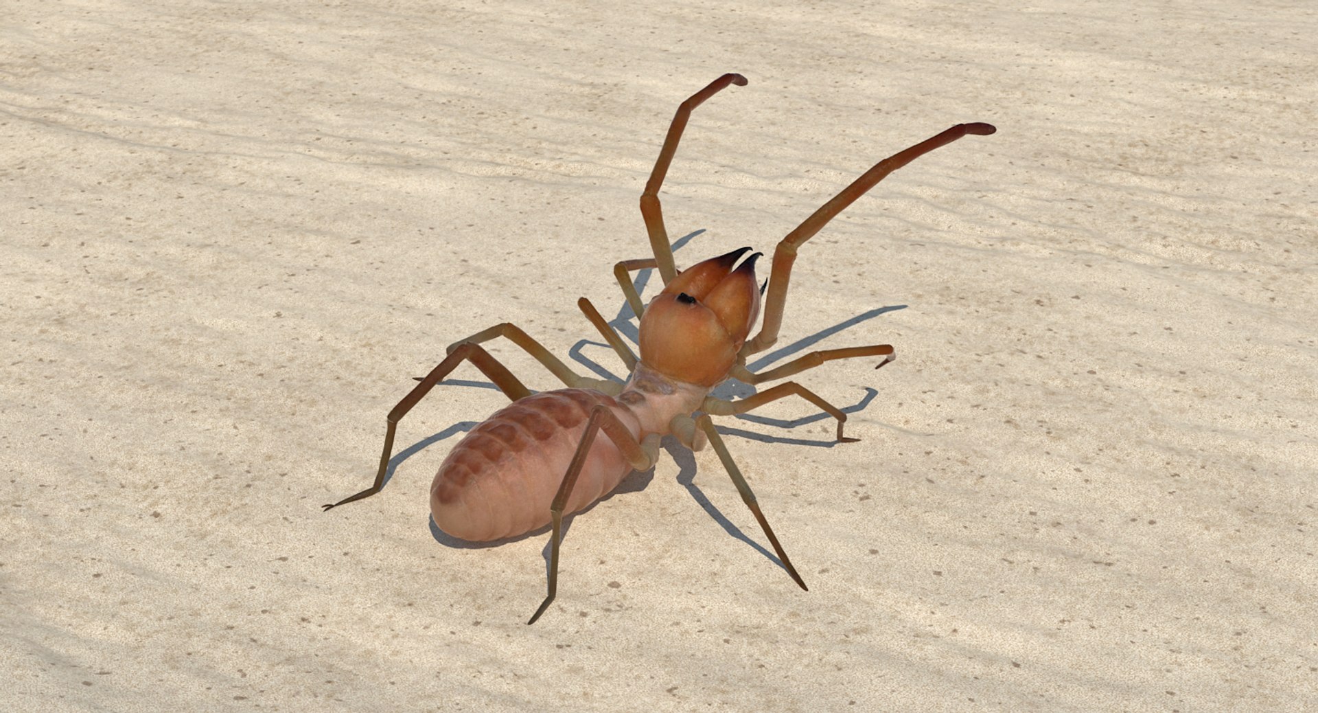 3D Wind Scorpion Spider - TurboSquid 1195514