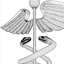Medical Caduceus C4d