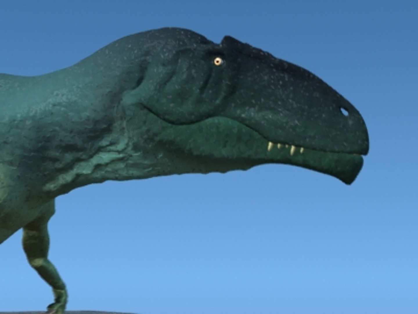 giganotosaurus rex animation 3d model