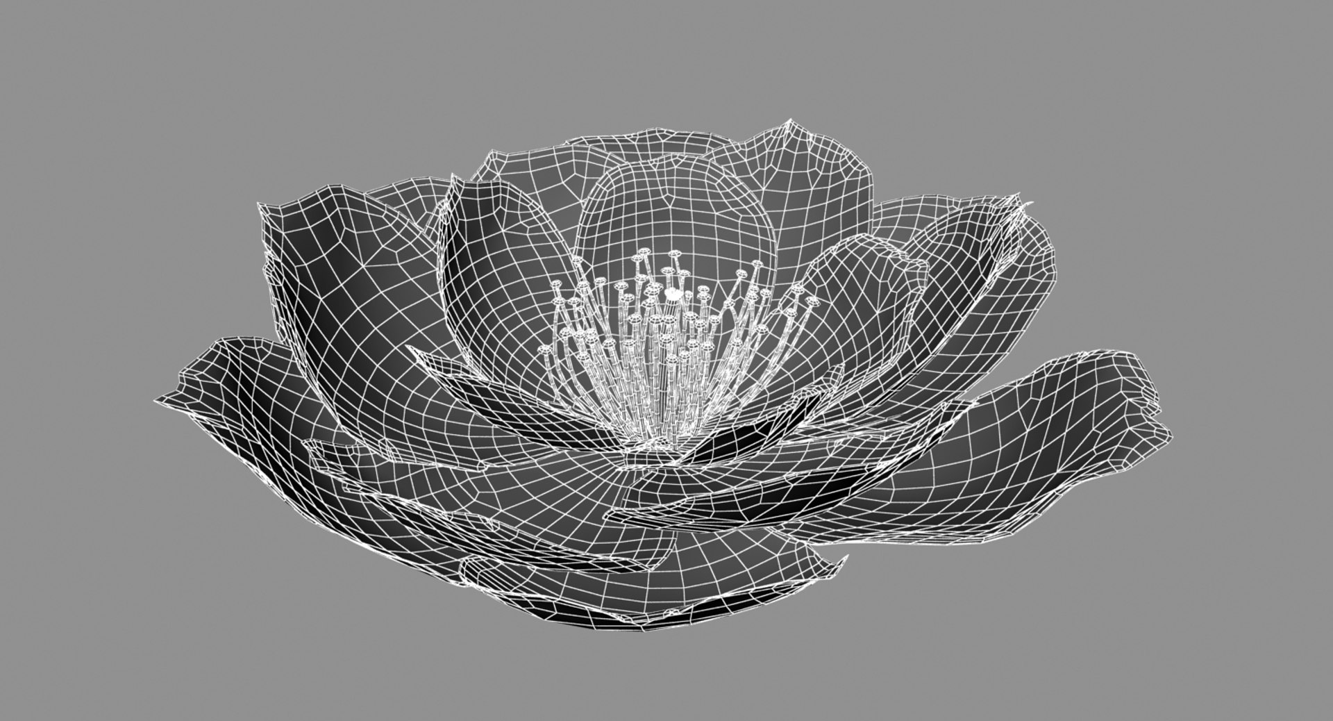 3D Model Flower - TurboSquid 1251878