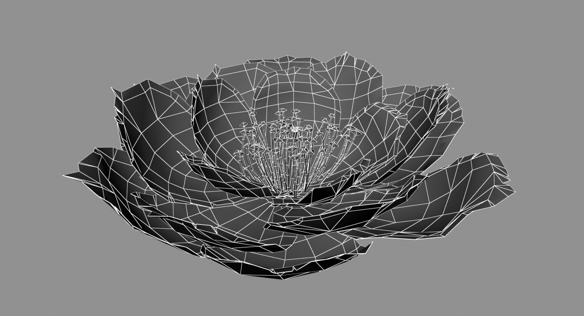 3D Model Flower - TurboSquid 1251878