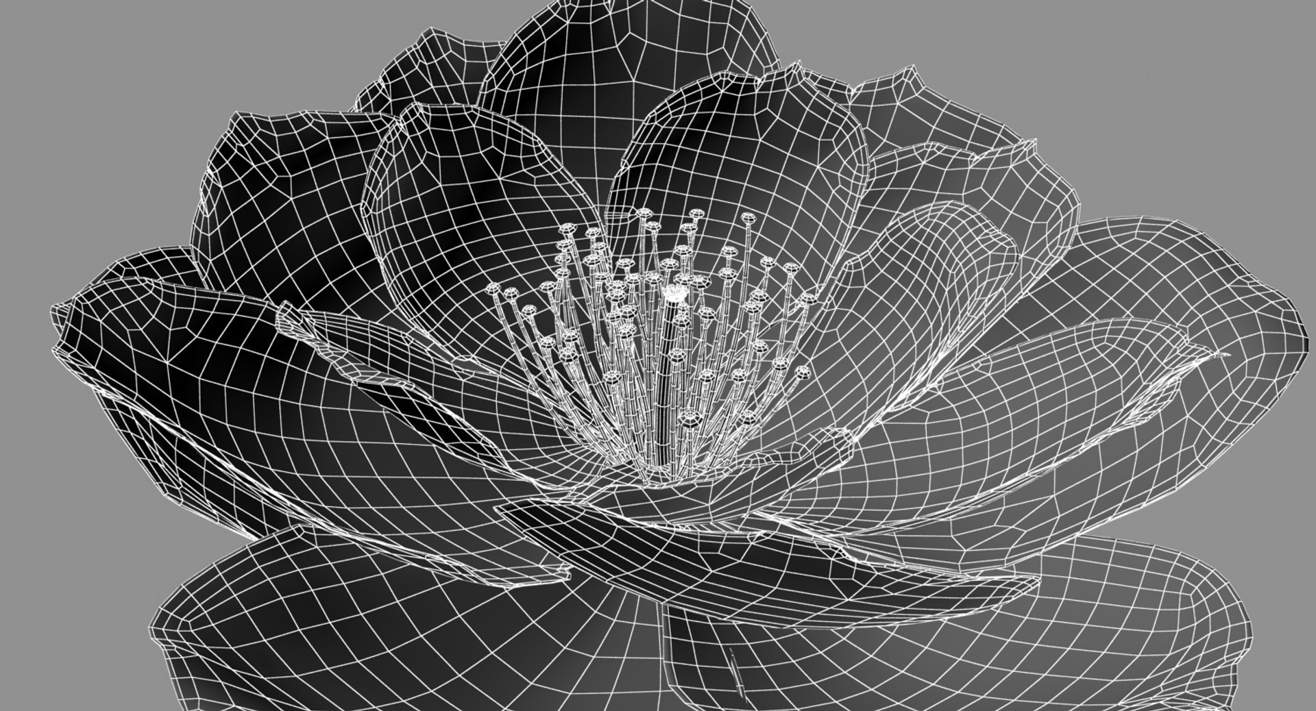3D Model Flower - TurboSquid 1251878