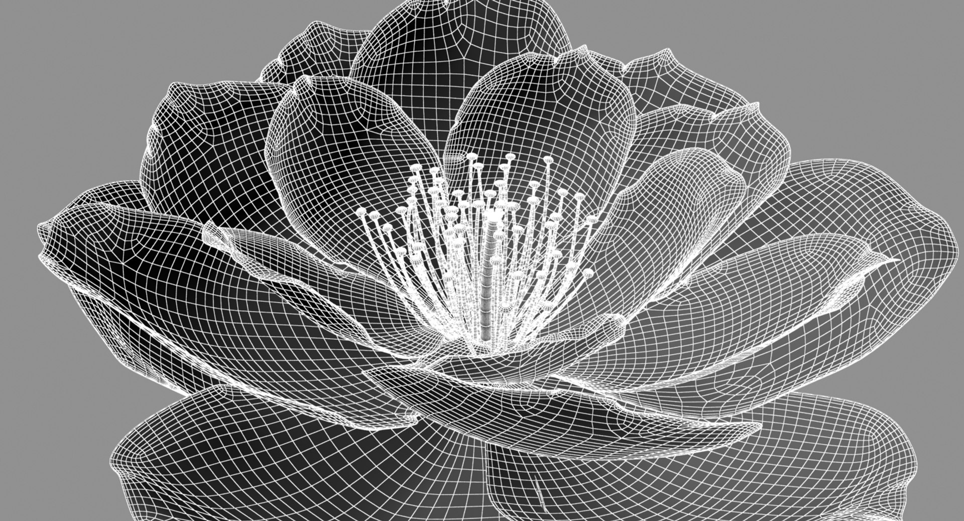 3D Model Flower - TurboSquid 1251878