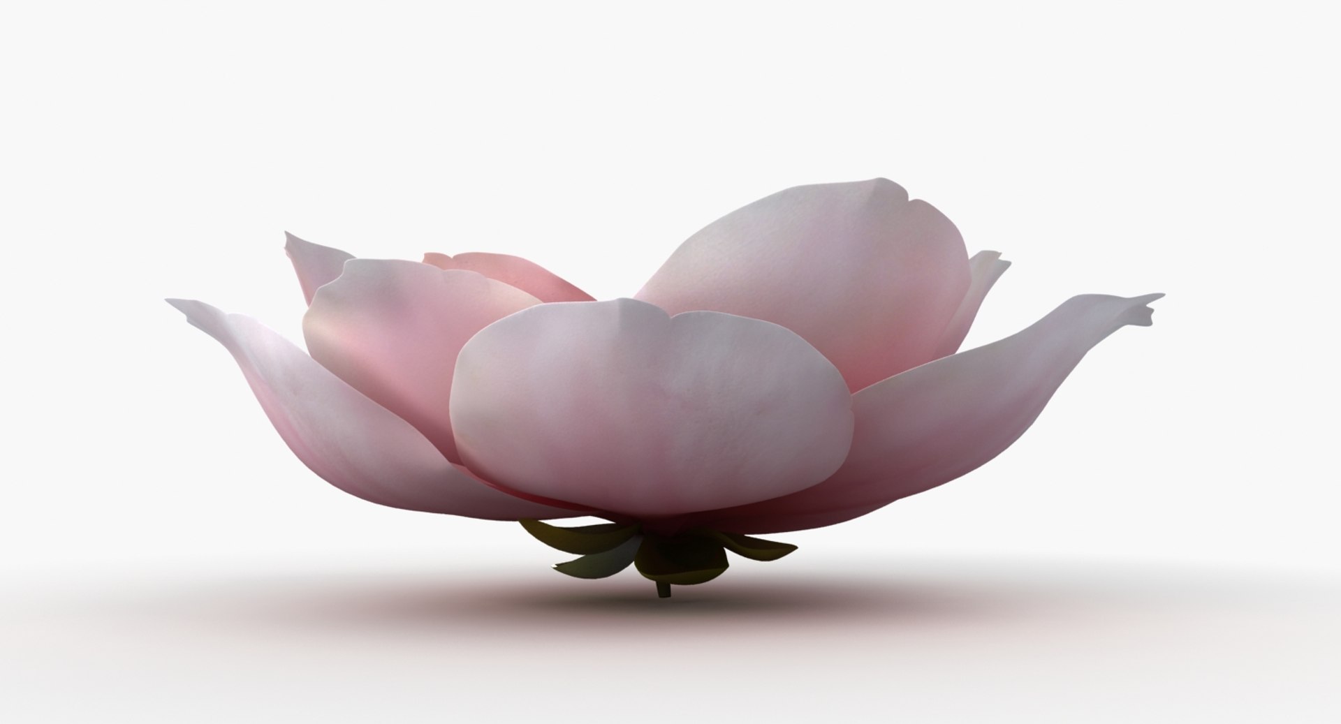 3D Model Flower - TurboSquid 1251878