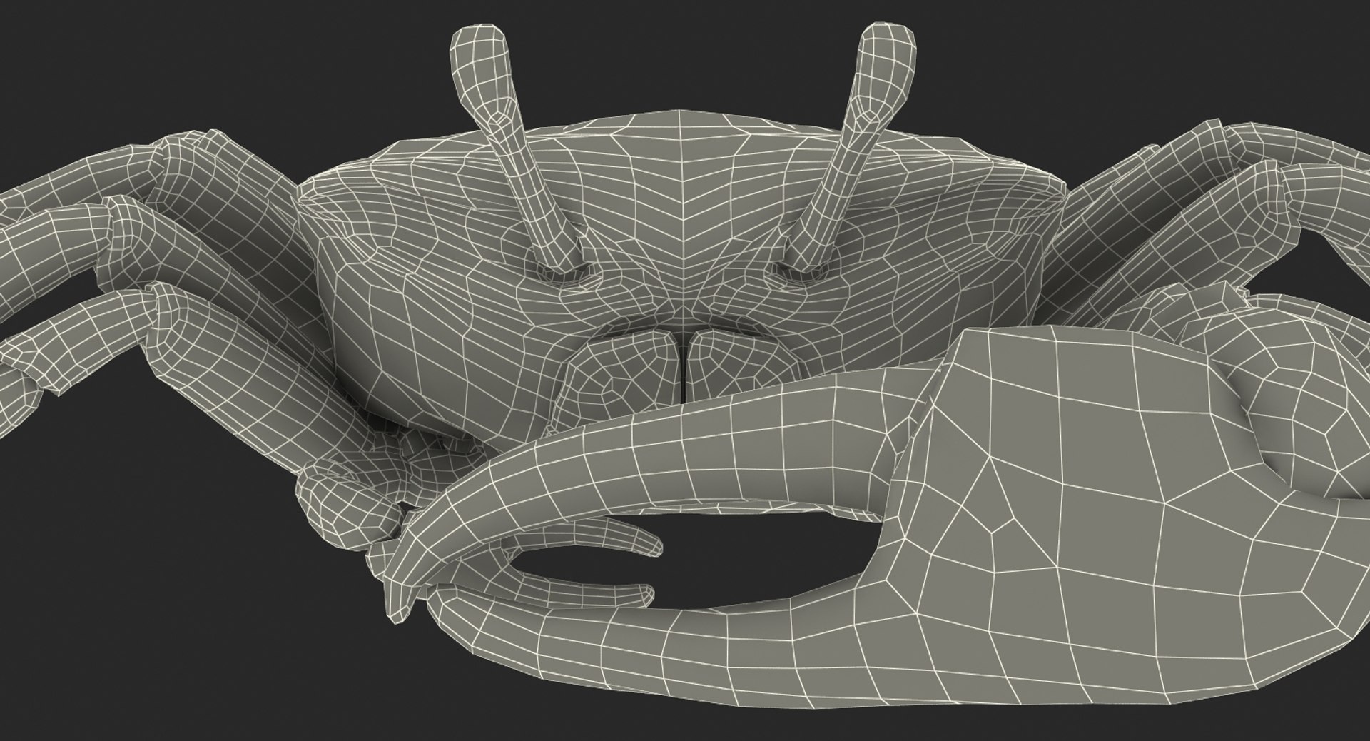 3d model fiddler crab fur rigged