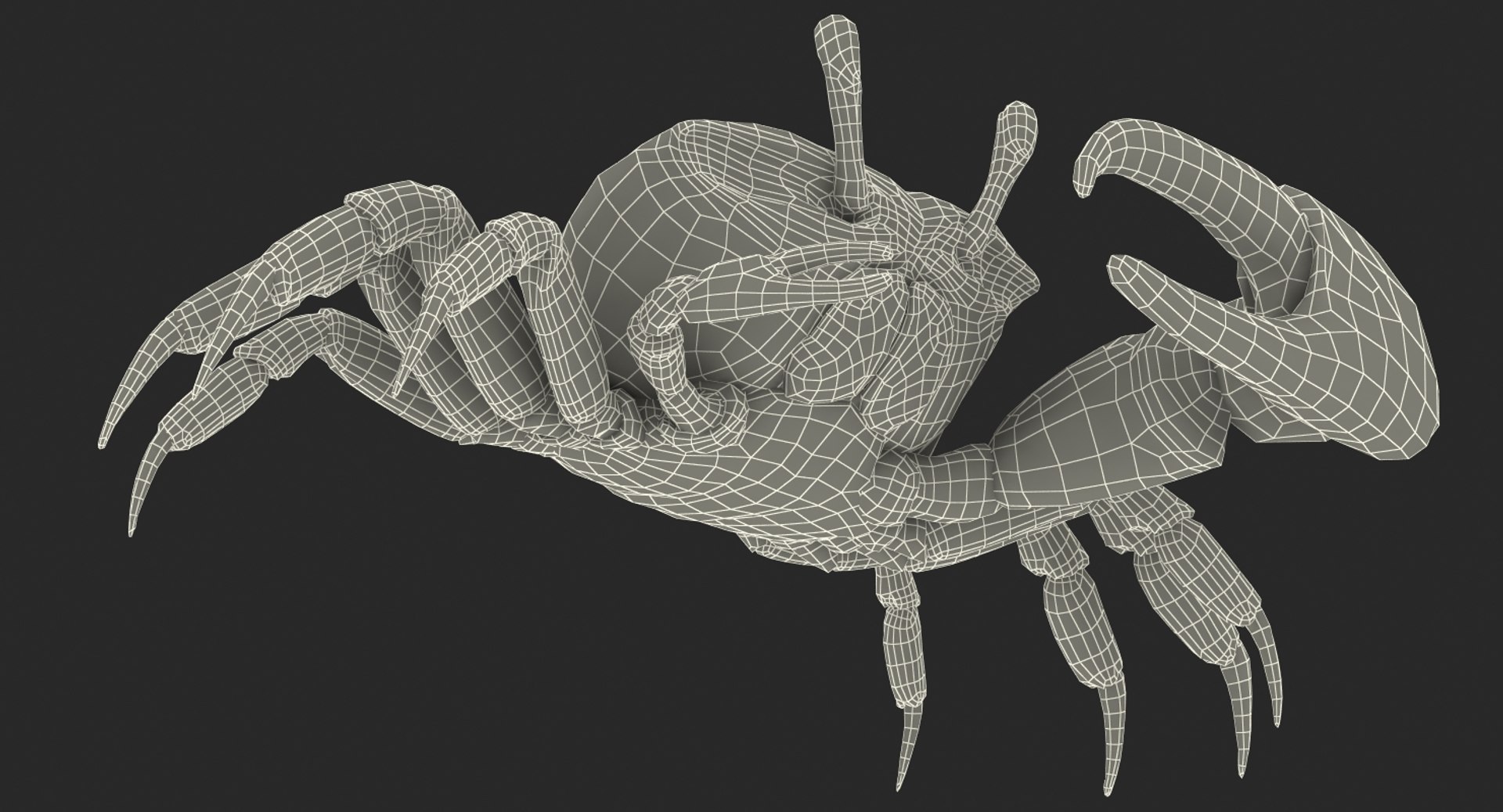 3d model fiddler crab fur rigged