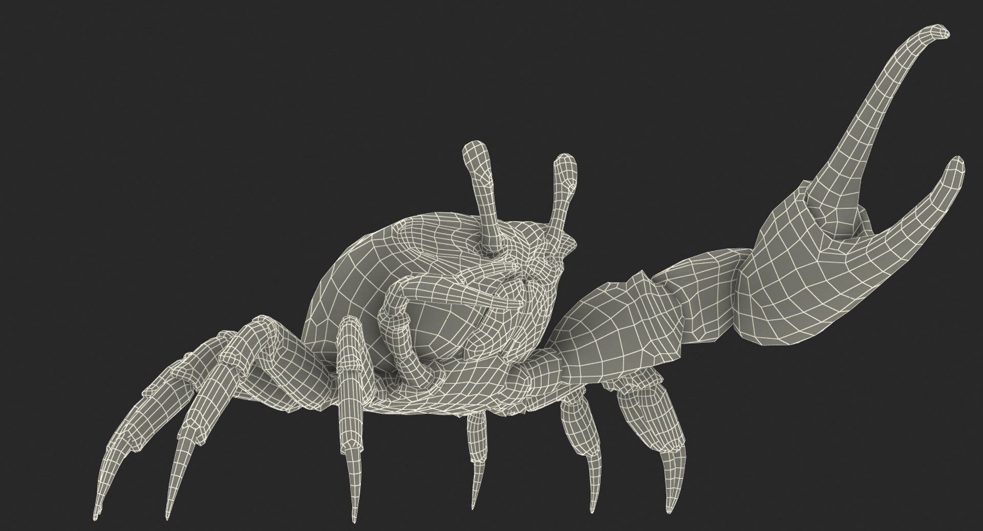 3d model fiddler crab fur rigged