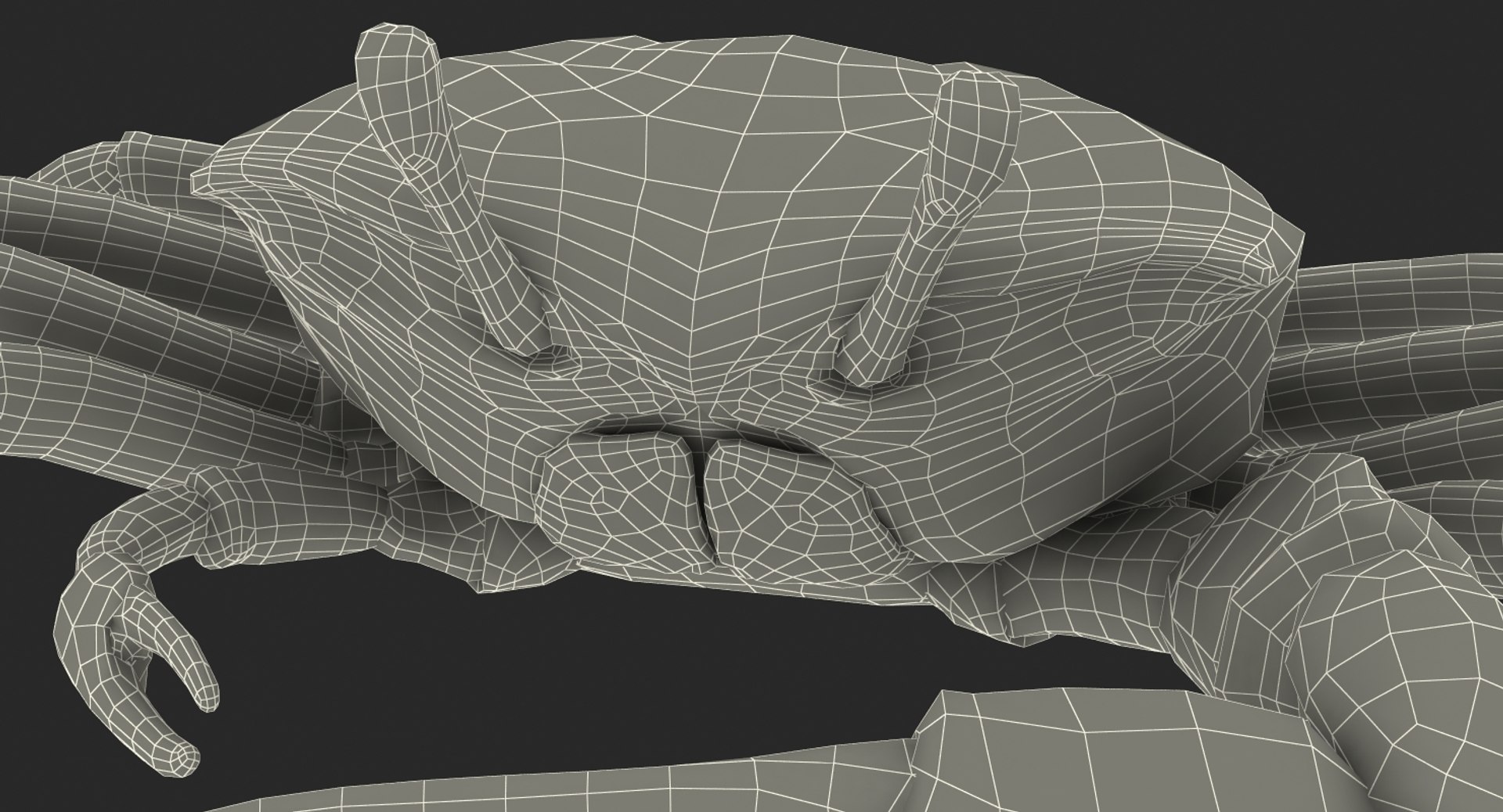 3d model fiddler crab fur rigged