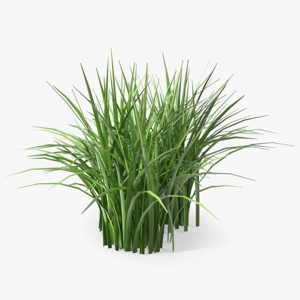 modelo 3d Parche de hierba realista - TurboSquid 2248508