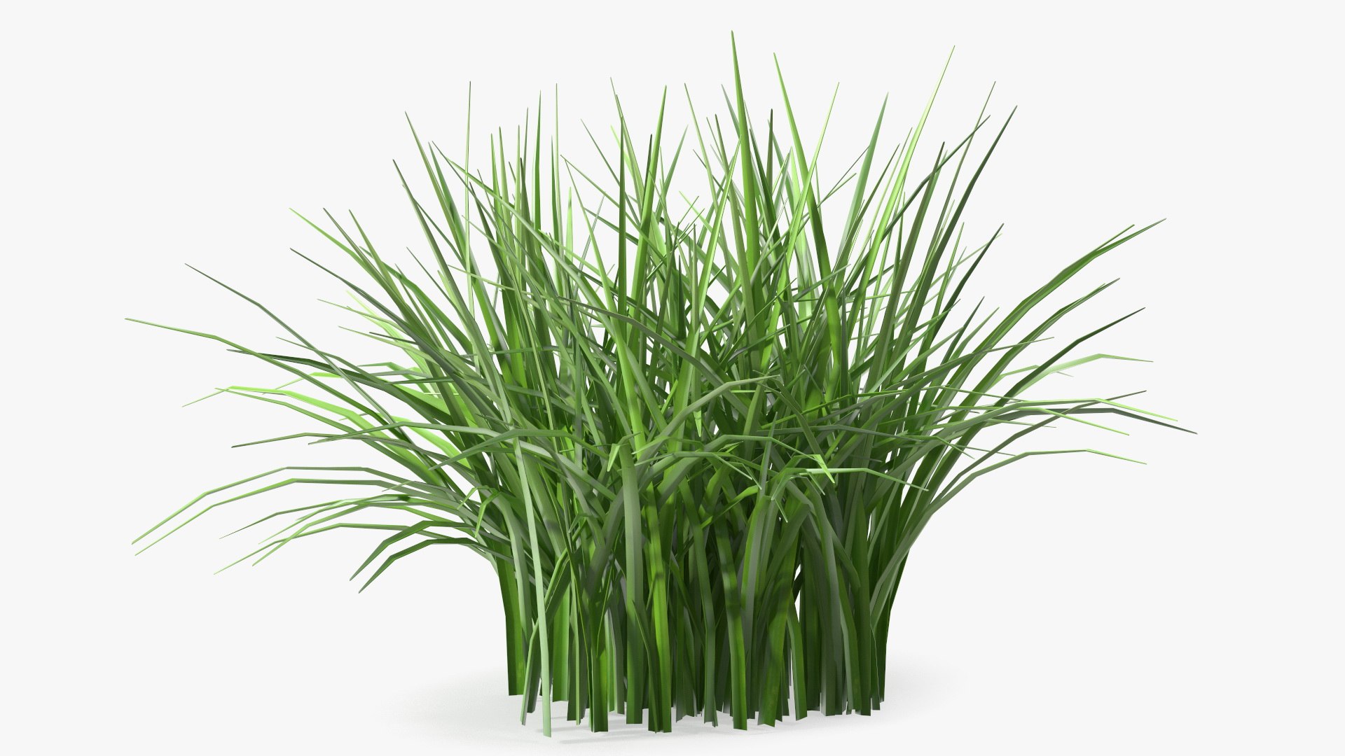 3D Realistic Grass Patch Model - TurboSquid 2248508