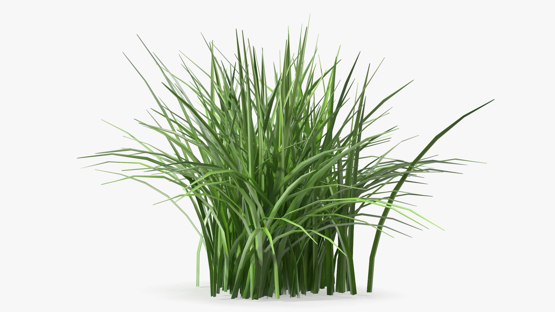 3D Realistic Grass Patch Model - TurboSquid 2248508