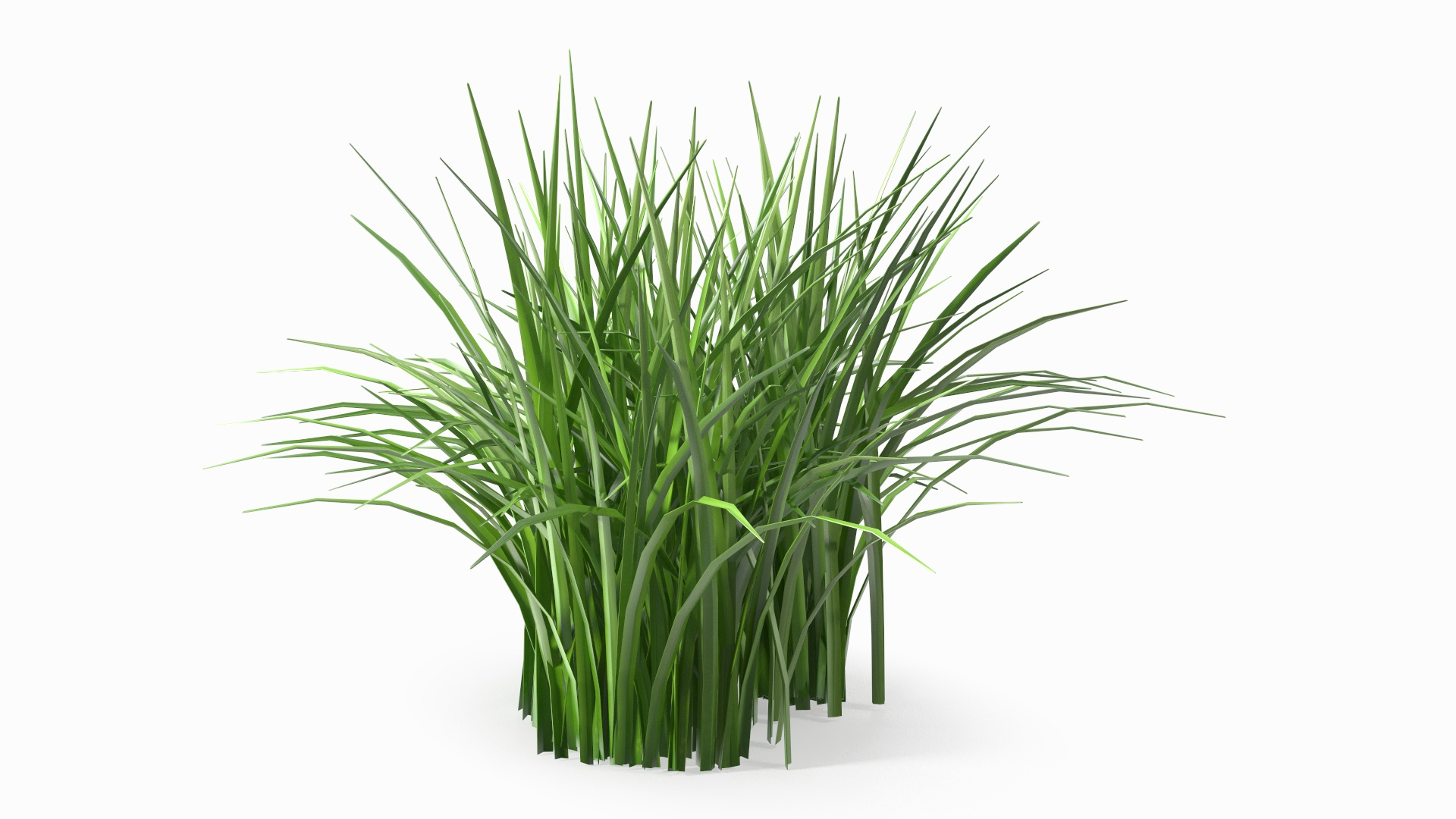 3D Realistic Grass Patch Model - TurboSquid 2248508