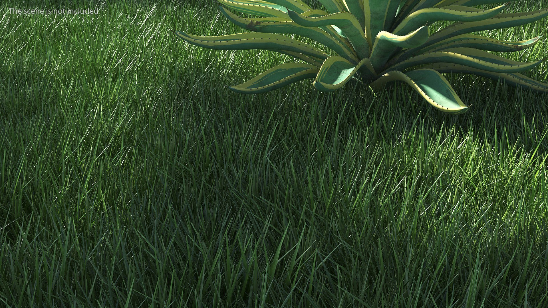 3D Realistic Grass Patch Model - TurboSquid 2248508