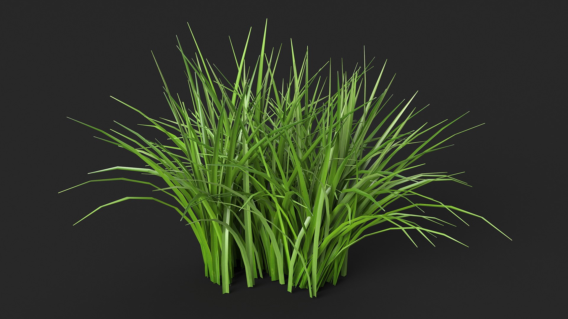 3D Realistic Grass Patch Model - TurboSquid 2248508