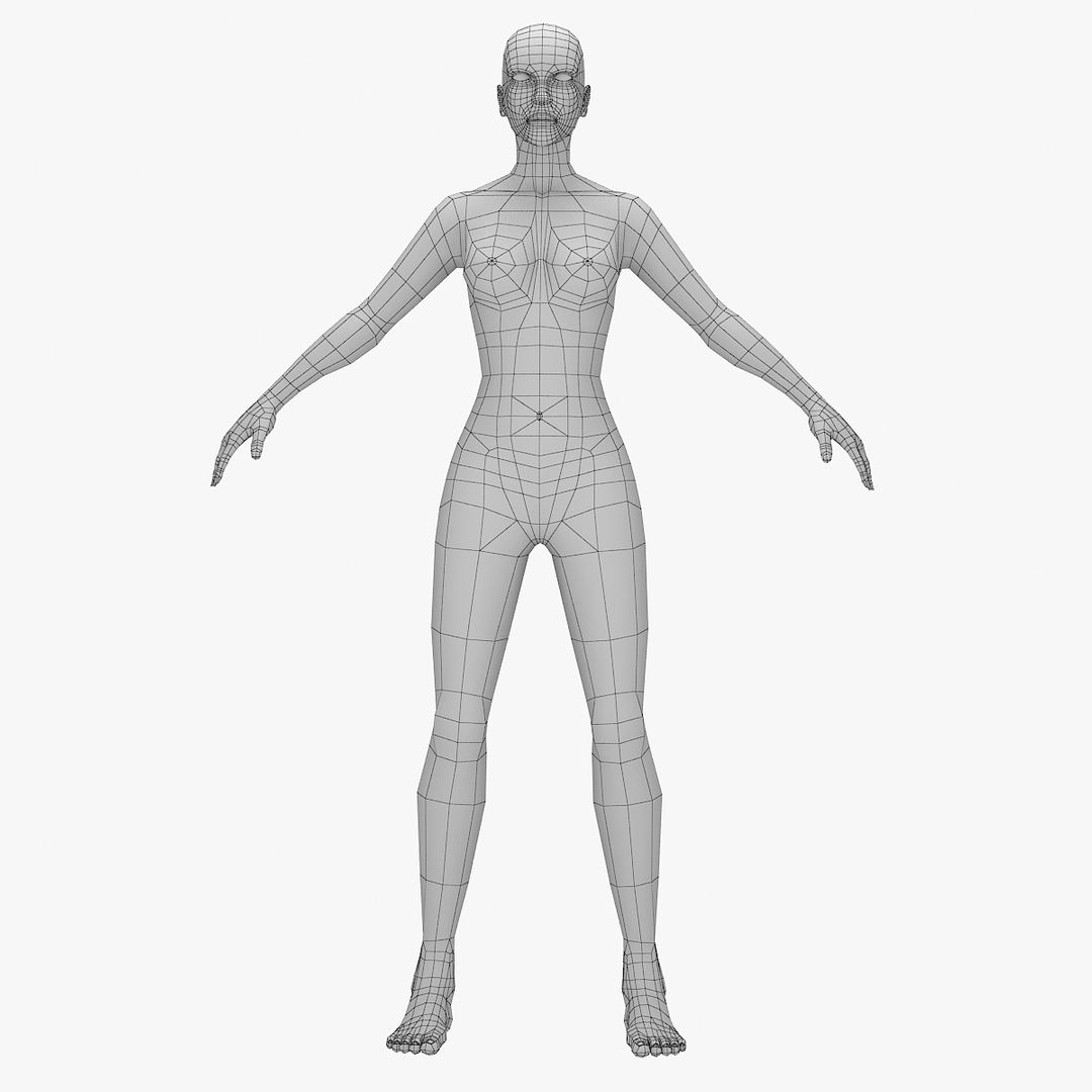 Female Mesh Base 3d Model