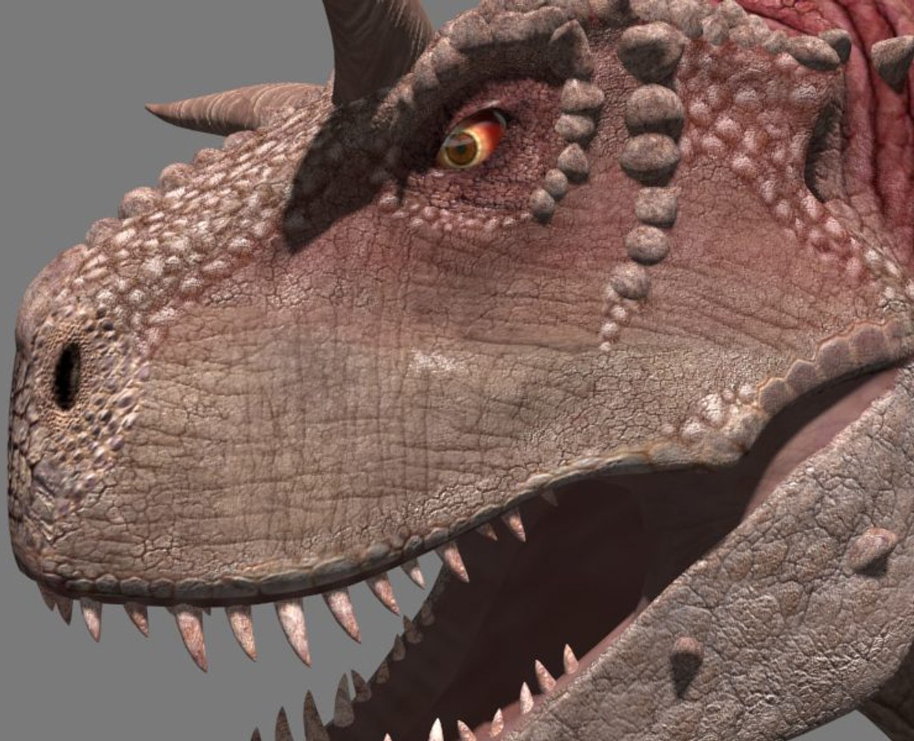 maya carnotaur carno t