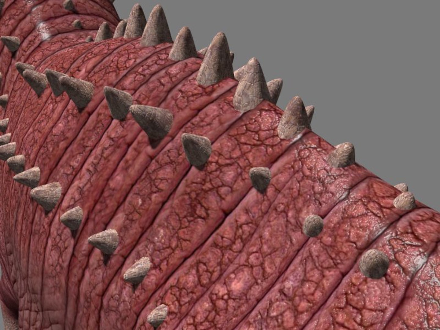 maya carnotaur carno t