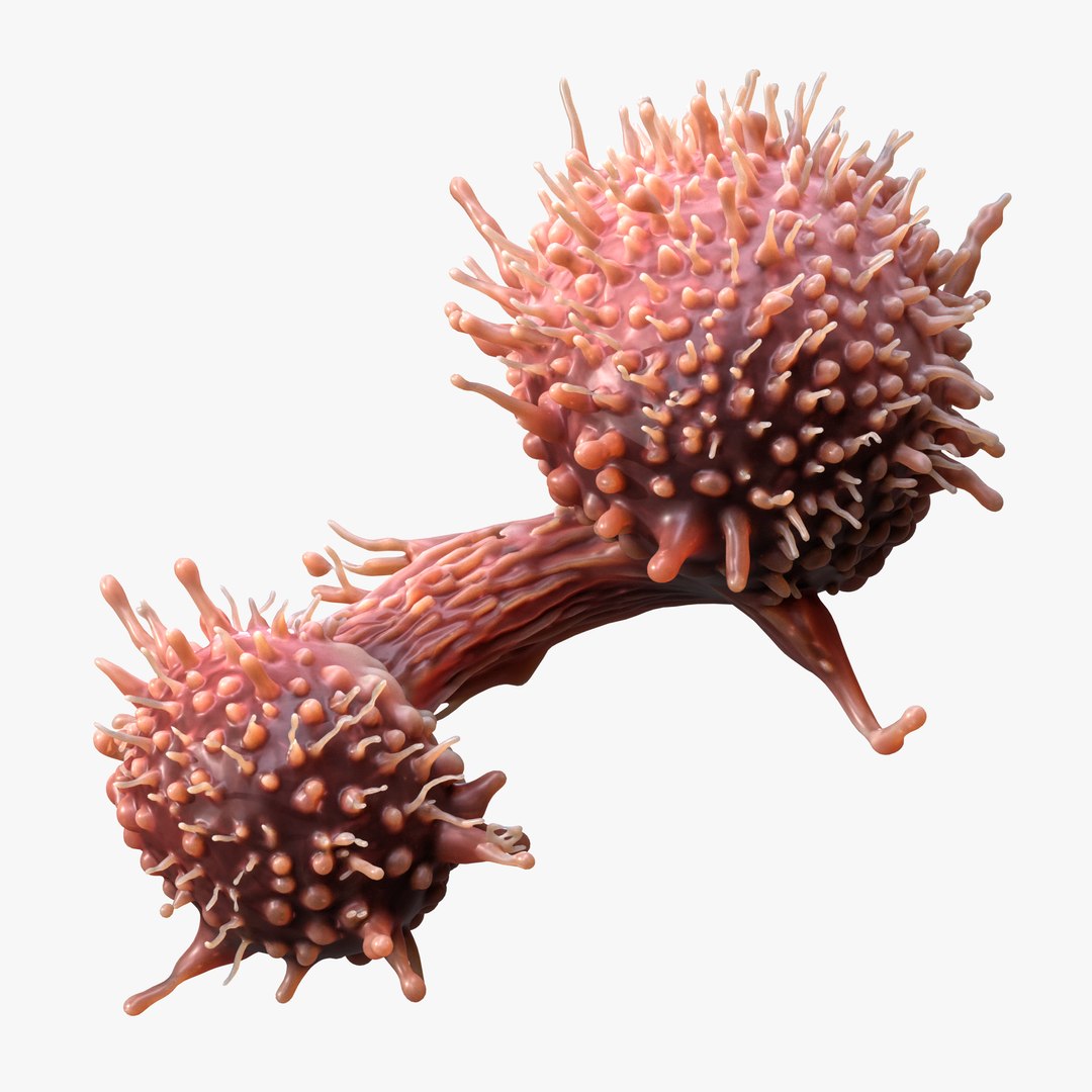 3D Cancer Cell - TurboSquid 2401957