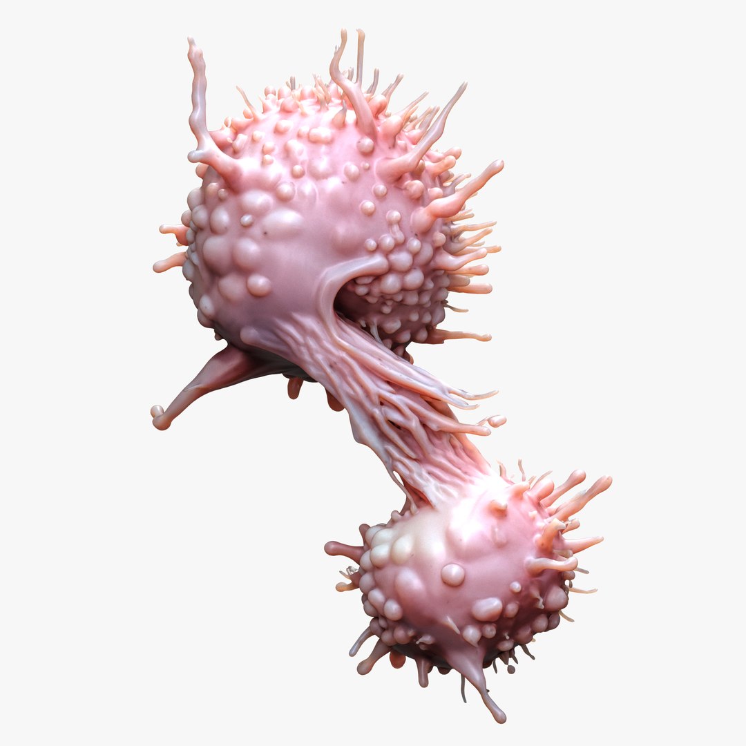 3D Cancer Cell - TurboSquid 2401957