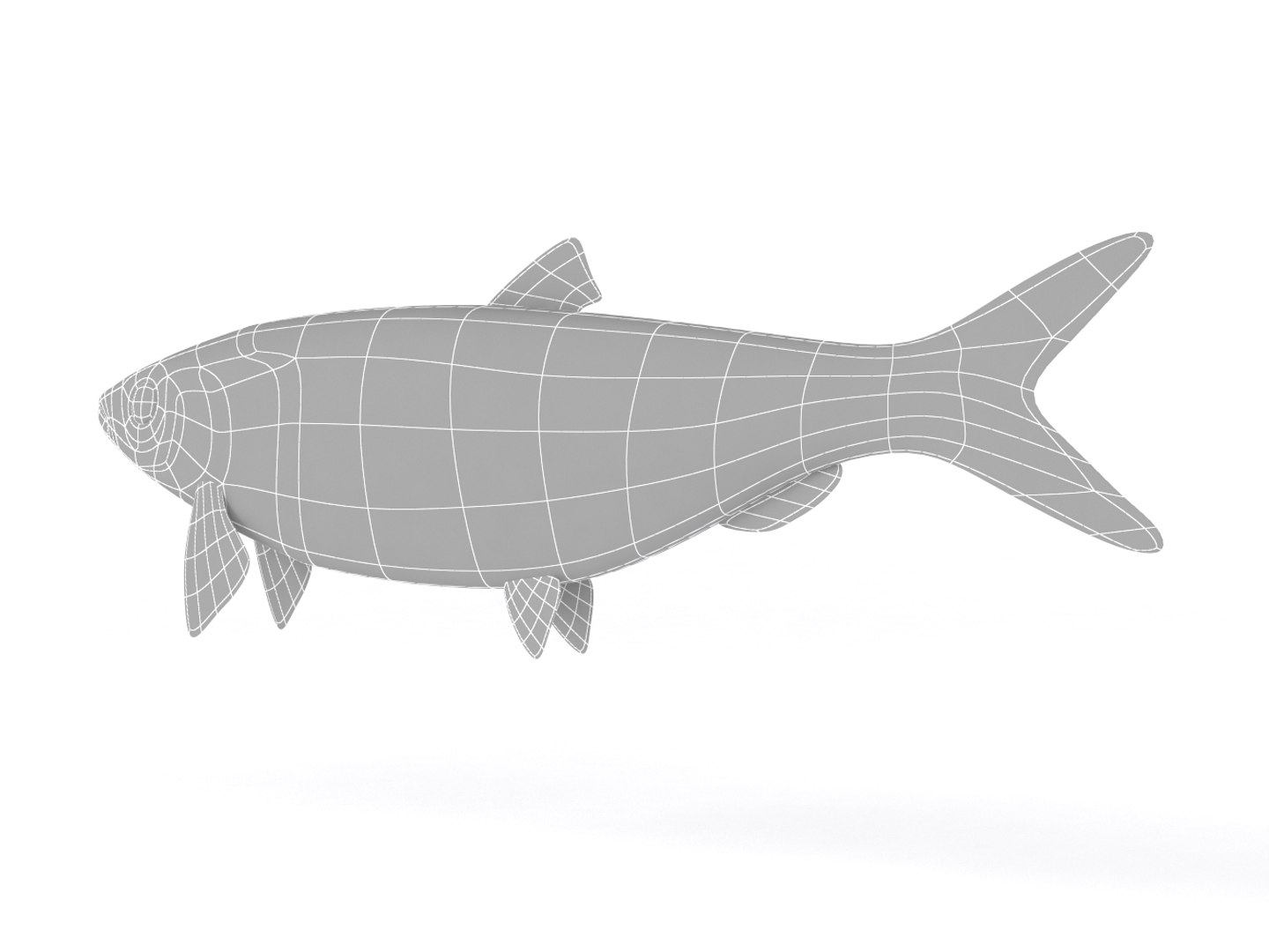 3D Herring Fish - TurboSquid 1639348