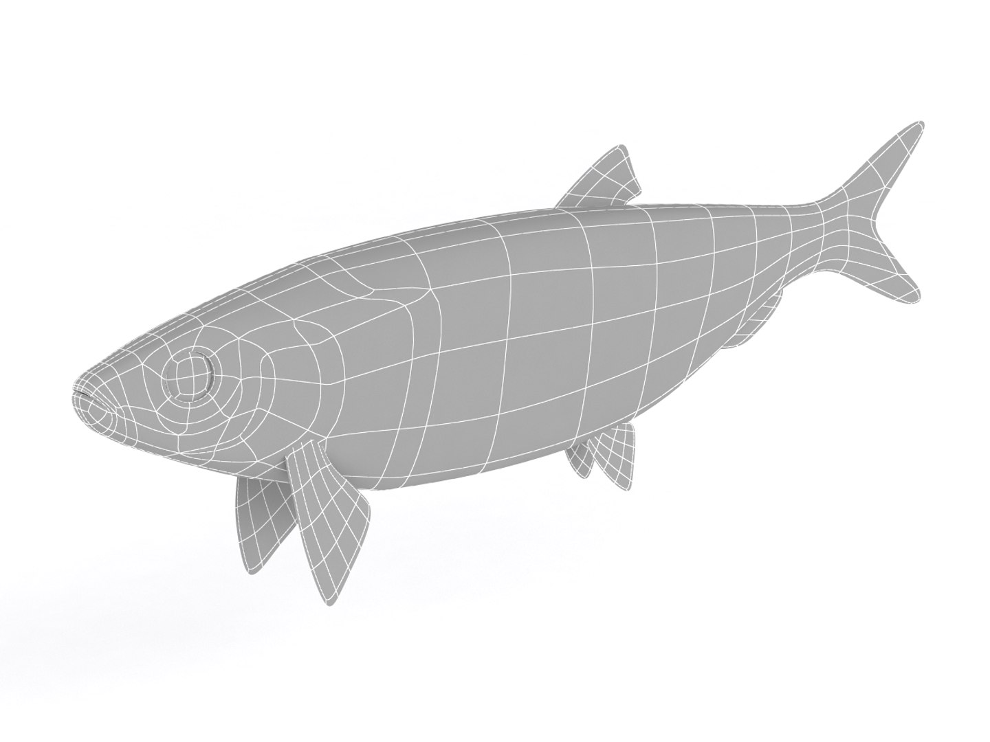 3D Herring Fish - TurboSquid 1639348