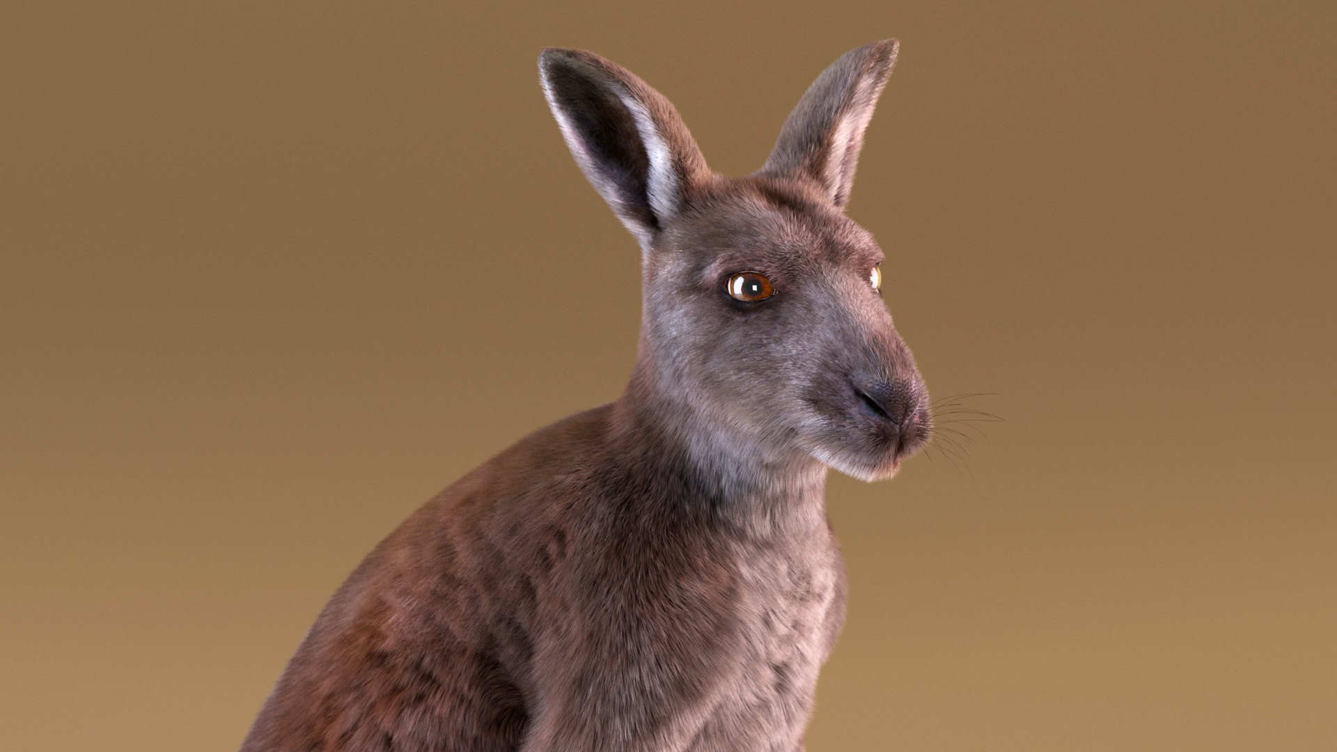 Mother Kangaroo With Baby Standing Fur 3D - TurboSquid 2249741